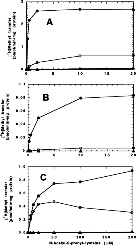 Substrate Specificity Of Recombinant A And Native B T Brucei Ppmt