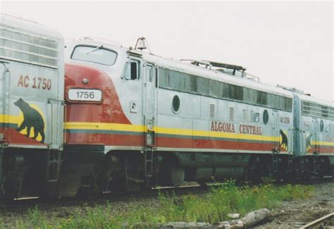 Link To Photo
