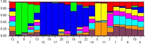 genotypes clustering based on population genetic structure using the
