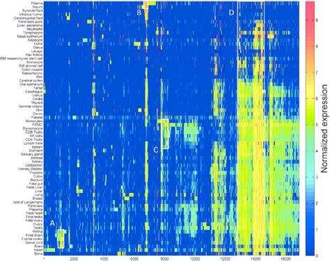 Double Hierarchical Clustering Of The 16 900 Genes In 69 Normal