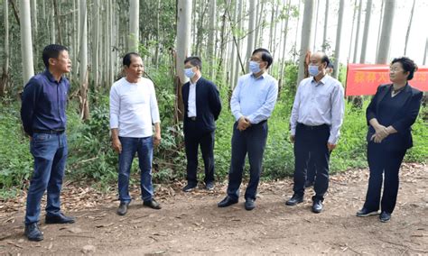 杨宏博带队深入邕宁区开展森林防灭火工作督导情况检查措施