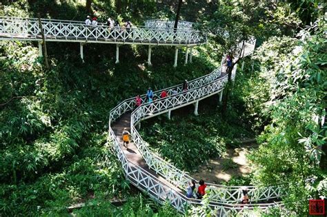 竹崎親水公園 背包地圖