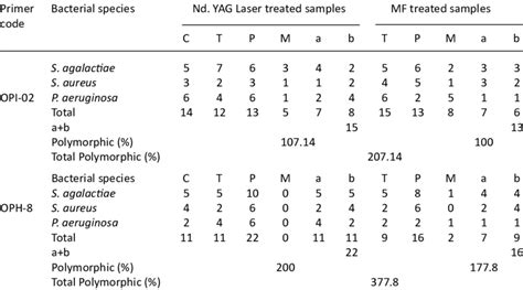 Rapd Pcr Profiles Produced From Genomic Dna Of Test Bacteria After Download Scientific Diagram
