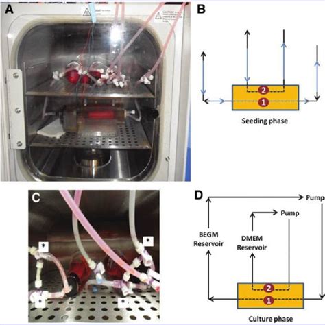 Bioreactor Design A Computer Aided Design Cad Drawings Of