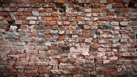 Wall Photogrammmetry Buy Royalty Free 3D Model By Alex Tench Alex