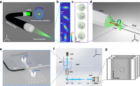 Principle Of The Multicore Fiber Optic Cell Rotation Mcf Ocr Powered