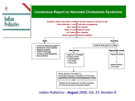 Neonatal Jaundice Ahmedabad Dr Sk Yachha Ppt
