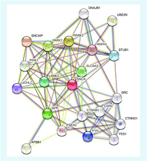 Expanded Protein Protein Interaction Network Of α Synuclein Obtained