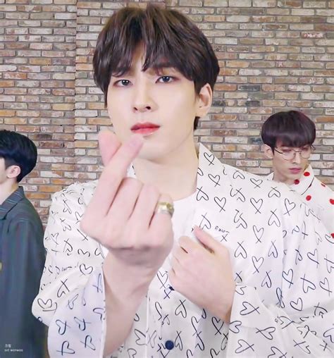 Pin By Alexia Shant E Borgs On Seventeen Seventeen Wonwoo Mingyu Seventeen Wonwoo