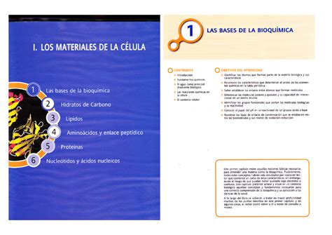 Libro Bioqu Mica Bioquimica Studocu