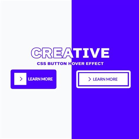 Advanced Button Hover Animations CSS Only Coding Camp Frontend Developer Online Tutorials