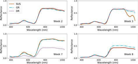 Hyperspectral Imaging And Neural Networks To Classify Herbicide Resistant Weeds