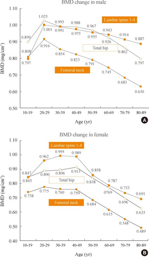 Female Bone Density Chart Ponasa