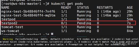 k8s（二）pod资源——node调度策略、node亲和性、污点与容忍度