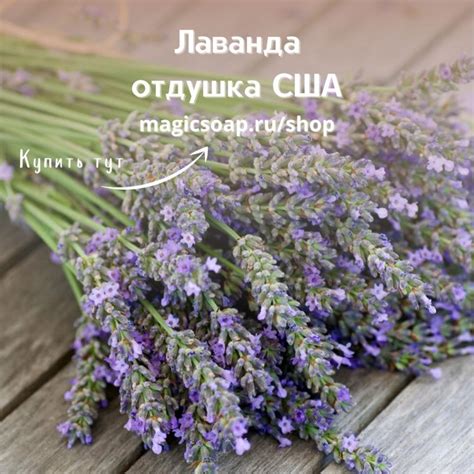 "Лаванда" (CS Lavender 15 oz Bottle) - отдушка США