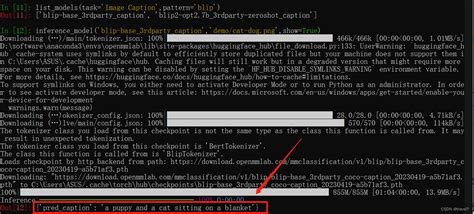 Mmpretrain Mmpretrain Csdn