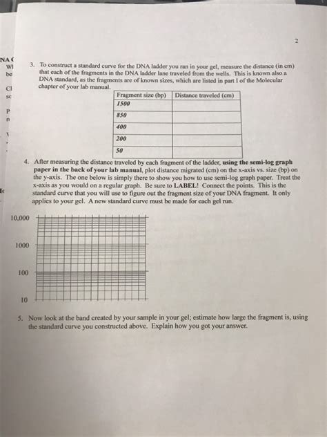 [solved] 1 To Construct A Standard Curve For The Dna Ladder You Ran Course Hero