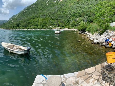 2024年9月risan旅游景点攻略 Risan旅游住宿 Risan旅游美食 猫途鹰