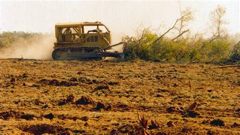 Impacto Ambiental By Impacto De Las Actividades Humanas Sobre El My