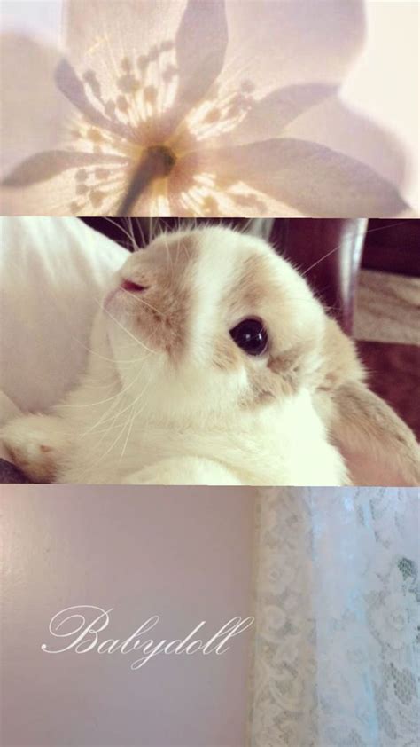 Пин от пользователя Milxsxsdi на доске Быстрое сохранение в 2025 г Рапунцель запутанная