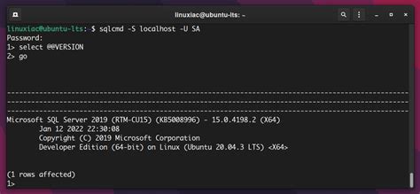 How To Install SQL Server And SQL Server CLI Tools On Ubuntu