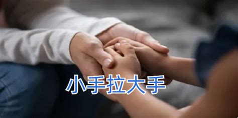 小手拉大手教育app 小手拉大手app下载最新版 小手拉大手app安卓下载 007游戏网