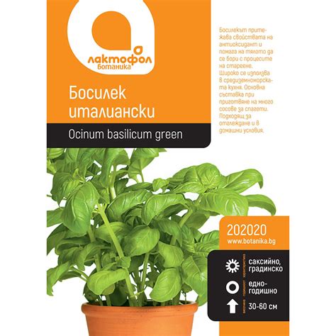 Семена Босилек Ботаник ⋆ MASTERHAUS