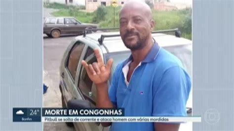 Homem Morre Ao Ser Atacado Por Pitbull Durante Festa Em MG Minas Gerais G1