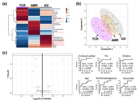 The Difference In The Plasma Metabolomic Profile Of Participants With