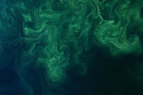 Lidar Reveals Undiscovered City Beneath Amazon Rainforest
