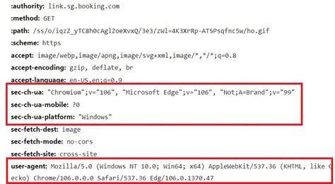 What Are Web Beacons Tools You Need To Know Beyond Cookies Hoganb Lab