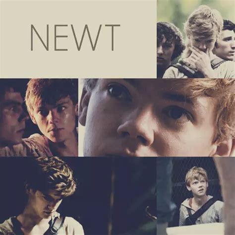 Newt The Maze Runner Fan Art Fanpop