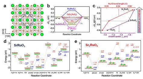 独特“协同效应”助力氧化物超高效电催化产氢 X Mol资讯
