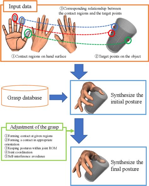 Thumb Range Of Motion