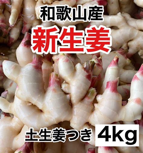 砂地ハウス栽培 新生姜 4kg 農家直送 メルカリ