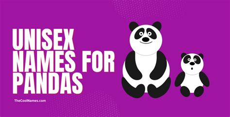 499 Best Panda Names Find The Best Name For Your Panda