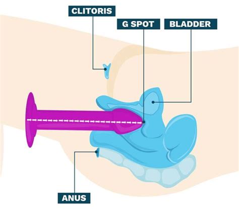 How To Orgasm With A Vibrator PRO TIPS From A Sex Toy Tester My Sex Toy Guide