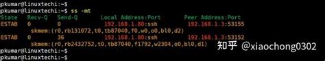 通过14个例子掌握 ss 命令监控 socket 网络连接 知乎