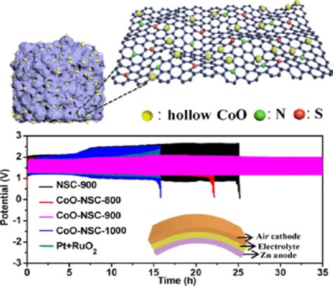 Bifunctional Oxygen Electrocatalysis Of N S Codoped Porous Carbon With Interspersed Hollow Coo