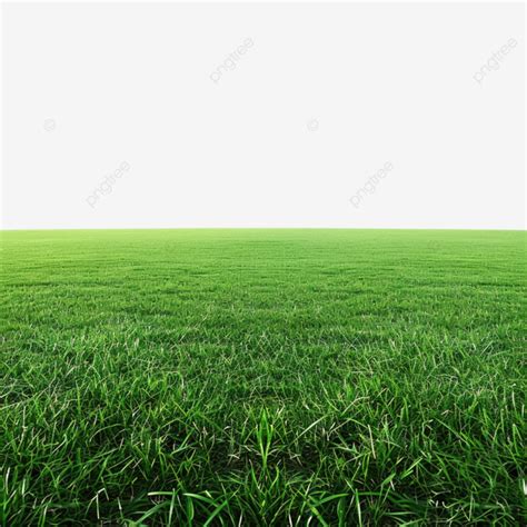 무료 축구 그린 필드 축구장 축구 필드 Png 일러스트 및 이미지 에 대한 무료 다운로드 Pngtree