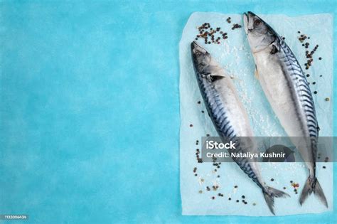 원시 고등어 물고기는 파란색 배경에 요리에 대 한 재료와 함께 개념에 대한 스톡 사진 및 기타 이미지 개념 개념과 주제 고기 Istock