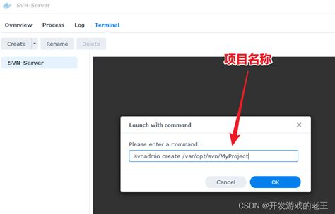 技术杂文：群晖上docker版svn服务器从搭建到访问的全程记录 群晖svn服务器 csdn博客