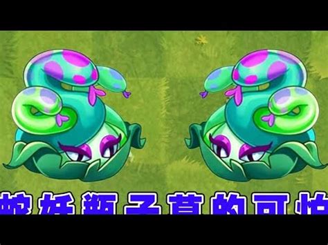 僵尸最害怕的植物蛇妖瓶子草1 5阶哪阶才开始质变 YouTube