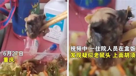 Mouse Head 8world