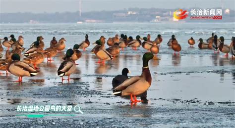 长治新闻网山西长治第一新闻门户