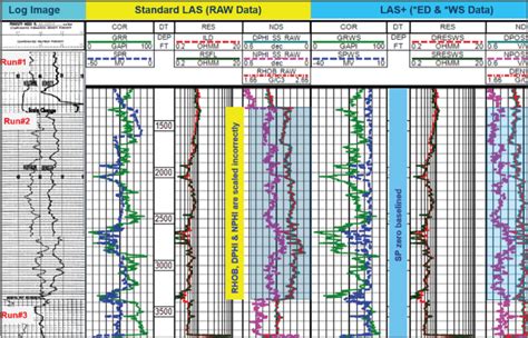 Petrophysical Interpretation Logs Tgs