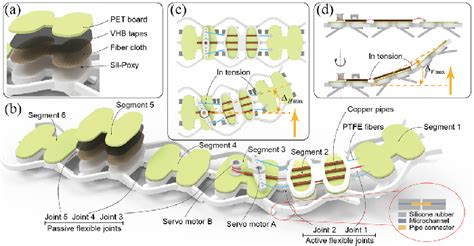 Figure 3 From Untethered Robotic Millipede Driven By Low Pressure