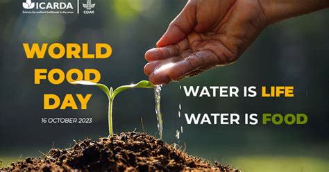 World Food Day 2023 Water Is Life Water Is Food Icarda