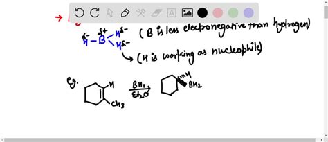 Solved Which Statement Is True In The Hydroboration Oxidation Of An Alkene A Markovnikov