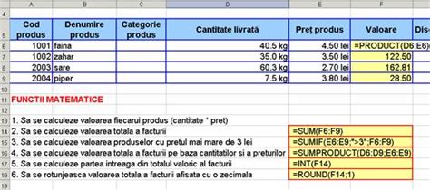 Utilizarea Functiilor In Excel